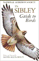 Bird Identification: Books and Games for identifying wild birds.